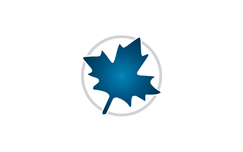 Maplesoft Maple(数学软件) 2021.0 修改版 - 果核剥壳