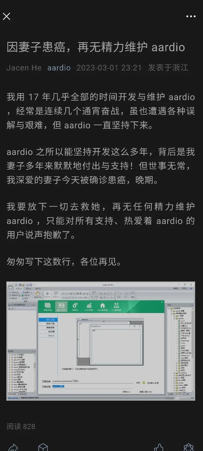 因妻子患癌，持续17年的编程语言aardio宣布停更 - 果核剥壳