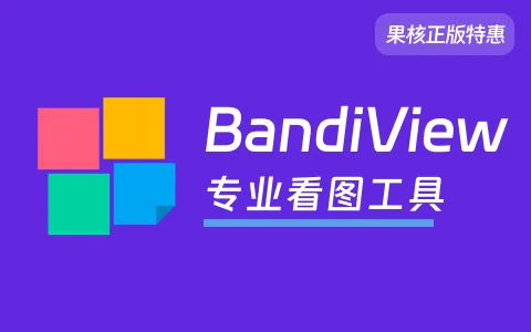 【正版特惠】BandiView Pro 专业版图片浏览器工具软件 - 果核剥壳